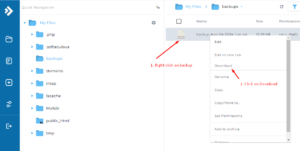 Friendly Guide to Create and Download Your Backups in DirectAdmin » Voxfor