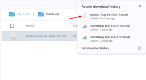 Friendly Guide to Create and Download Your Backups in DirectAdmin » Voxfor