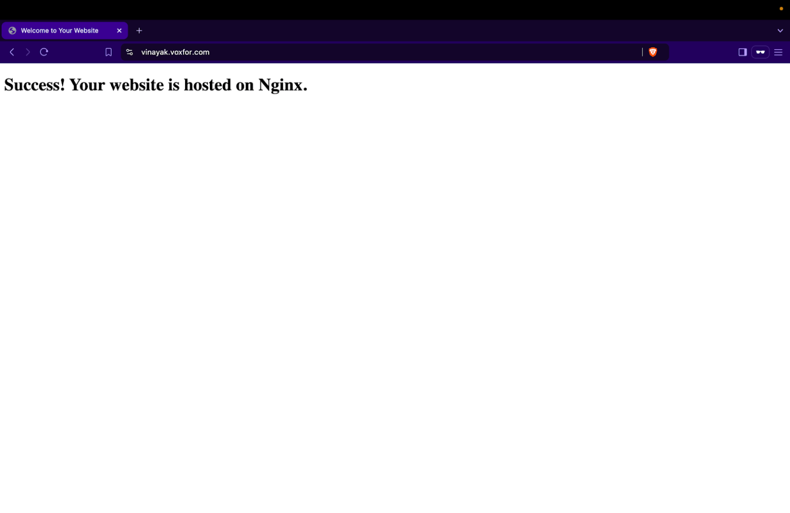Host a Website on VPS Without Control Panel Using Nginx