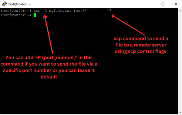 Master File Transfers on Linux: How to Use the SCP Command Effectively