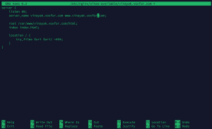 Host a Website on VPS Without Control Panel Using Nginx