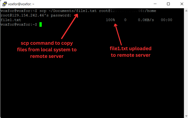 Master File Transfers on Linux: How to Use the SCP Command Effectively