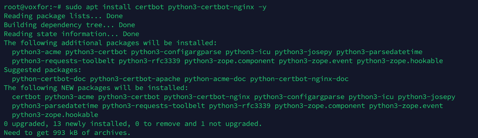 Host a Website on VPS Without Control Panel Using Nginx