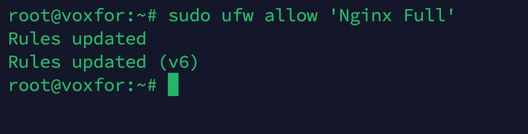 Host a Website on VPS Without Control Panel Using Nginx