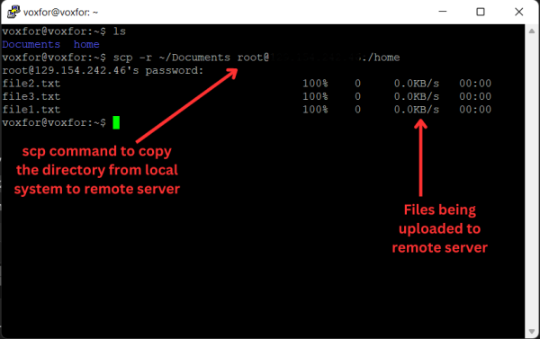 Master File Transfers on Linux: How to Use the SCP Command Effectively