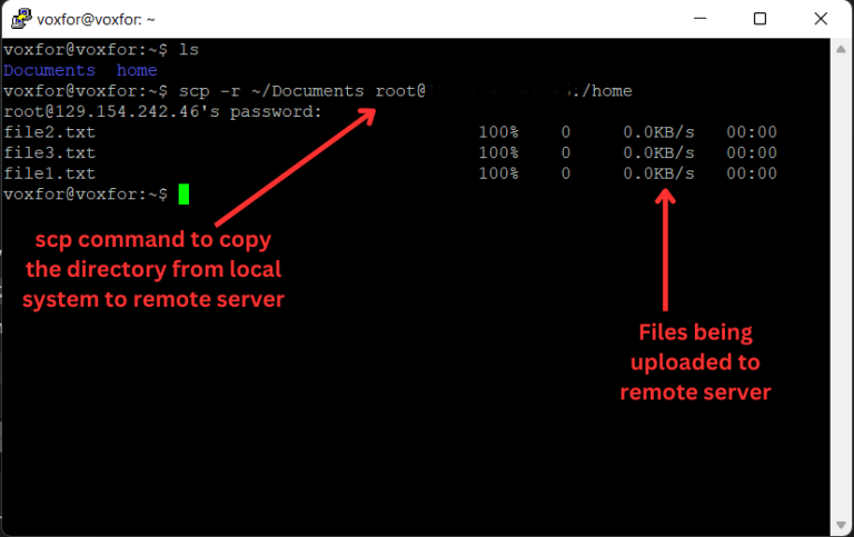 Master File Transfers on Linux: How to Use the SCP Command Effectively