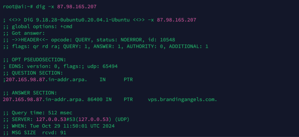 Troubleshooting MX Records and PTR Setup on Shared Servers