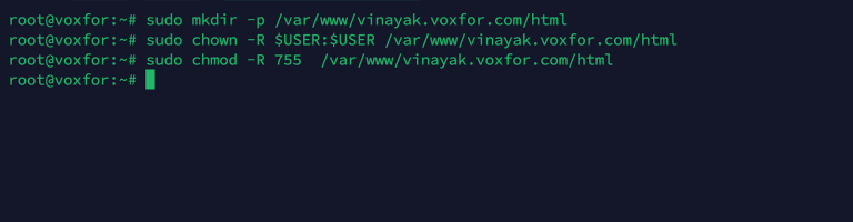 Host a Website on VPS Without Control Panel Using Nginx
