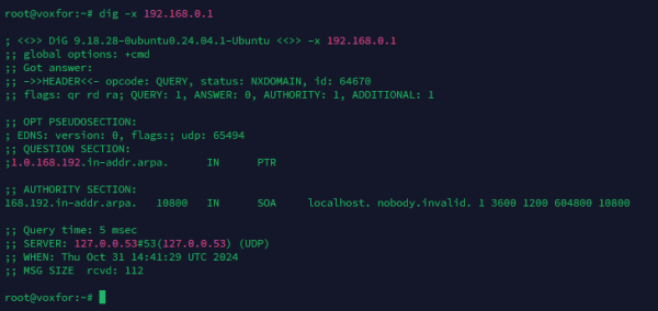 How to Use the Linux Dig Command: With Examples