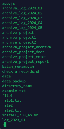 Mastering the less Command in Linux: A Comprehensive Guide