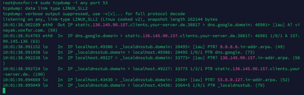 How to Use the Linux Dig Command: With Examples
