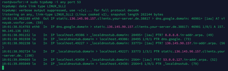 How to Use the Linux Dig Command: With Examples
