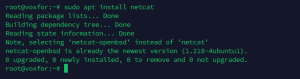 How to use Netcat (nc) Command in Linux with Examples