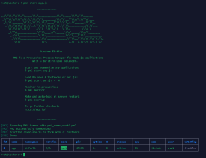Install & Manage Node.js Versions on Linux Using PM2 Guide