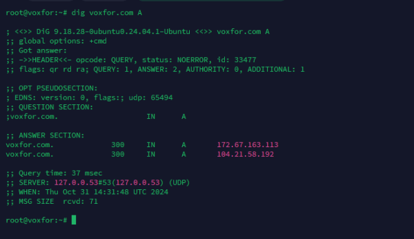 How to Use the Linux Dig Command: With Examples