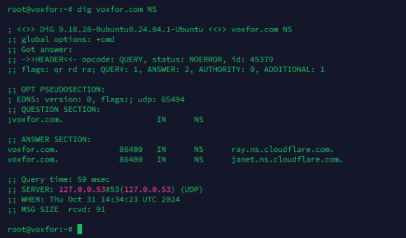 How to Use the Linux Dig Command: With Examples