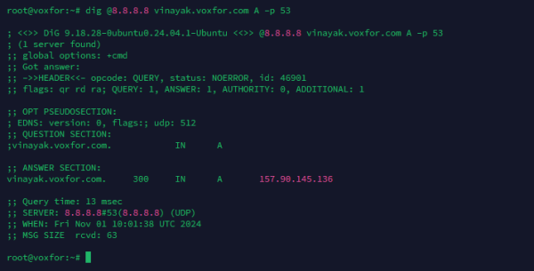 How to Use the Linux Dig Command: With Examples