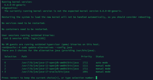 How to Install Java and JDK on Linux Systems: Complete Guide