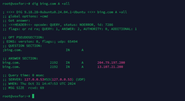 How to Use the Linux Dig Command: With Examples