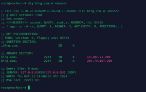 How to Use the Linux Dig Command: With Examples