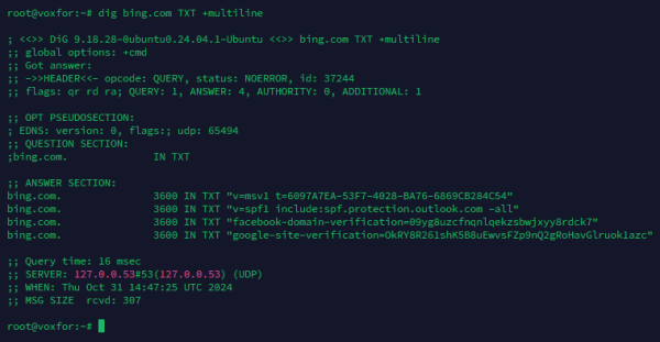 How to Use the Linux Dig Command: With Examples