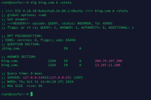How to Use the Linux Dig Command: With Examples