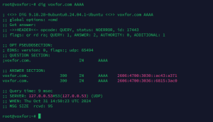 How to Use the Linux Dig Command: With Examples