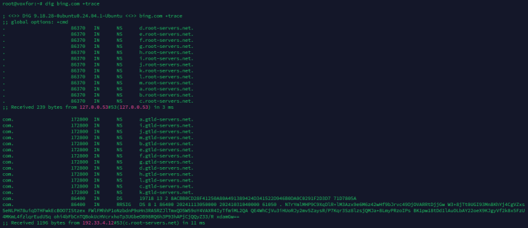 How to Use the Linux Dig Command: With Examples