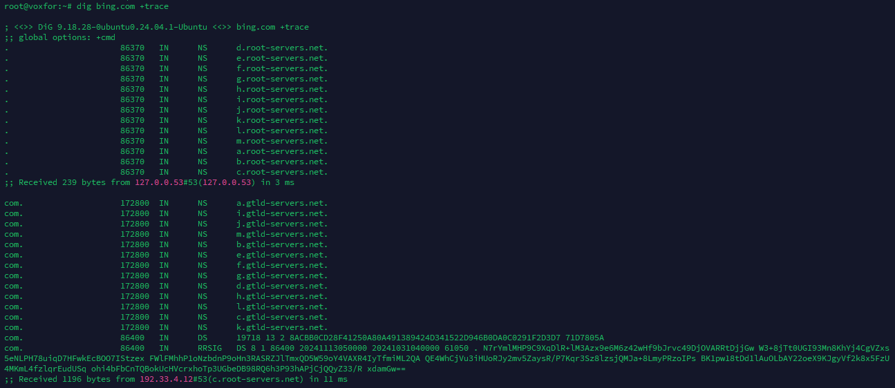 How to Use the Linux Dig Command: With Examples