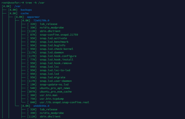 How to Check Directory Sizes in Linux?