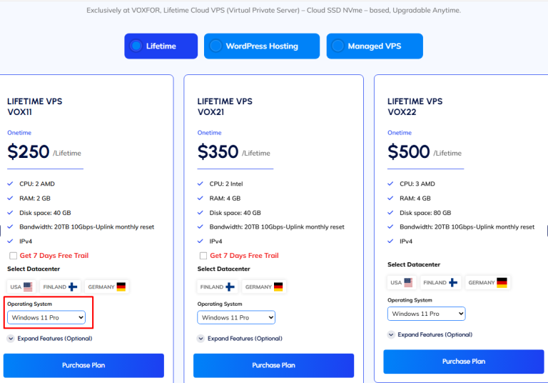 How to Start Your Windows 11 VPS with Voxfor Lifetime