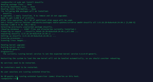 How to Use the Linux Dig Command: With Examples