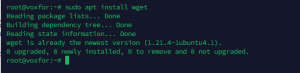 Mastering the wget Command on Linux : A Complete Guide