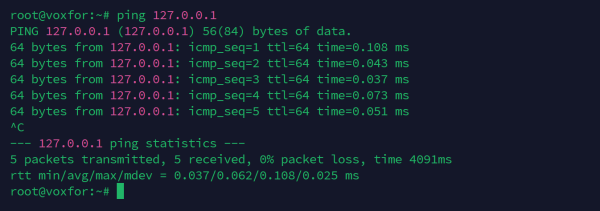 How to Use Ping Command for Network Troubleshooting