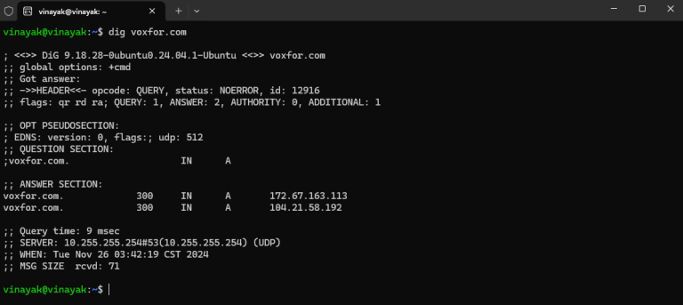 How to Install Dig on Windows with WSL