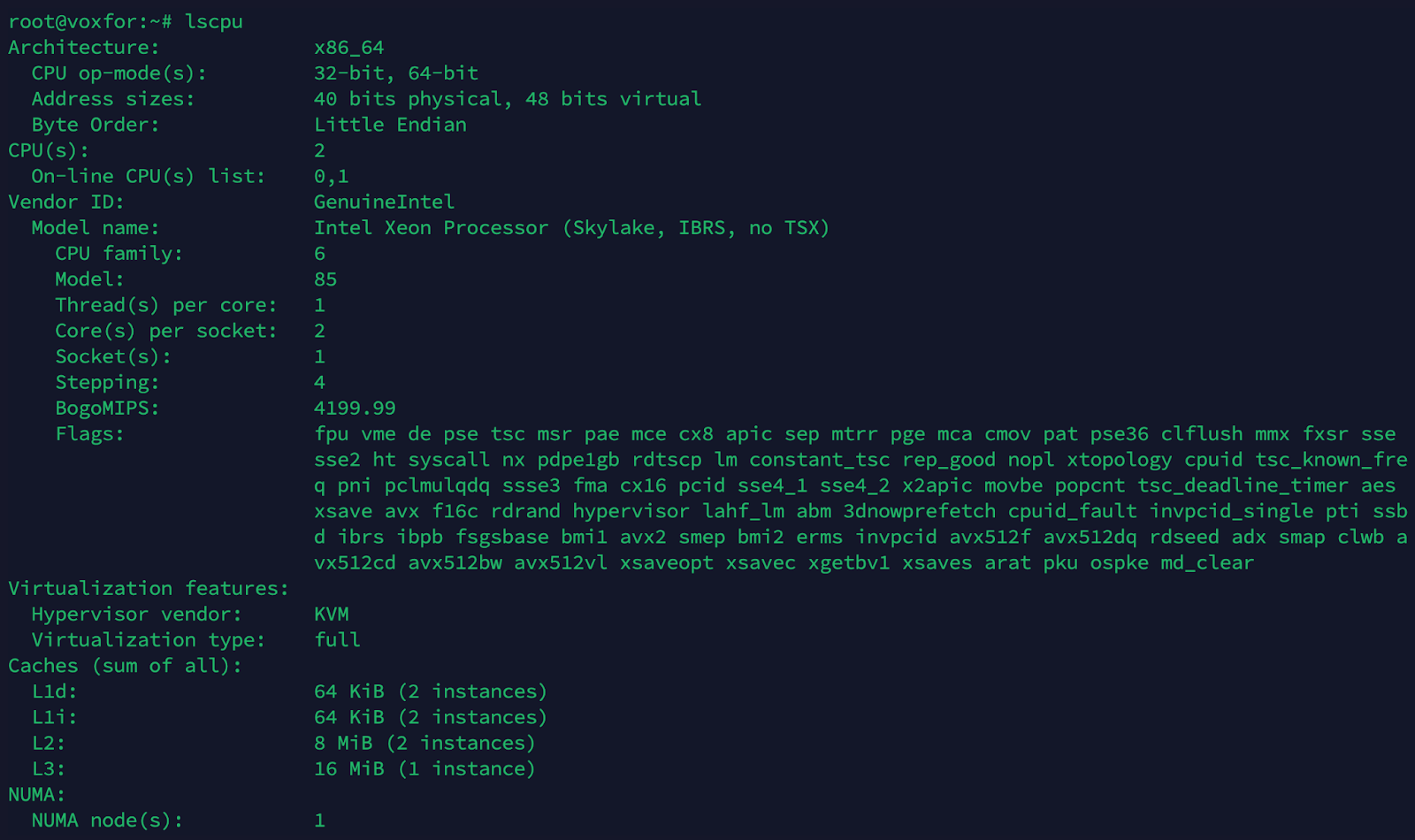 How to Get CPU Numbers in Linux VPS for Optimal System Insights