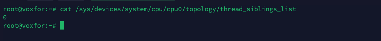 How to Get CPU Numbers in Linux VPS for Optimal System Insights