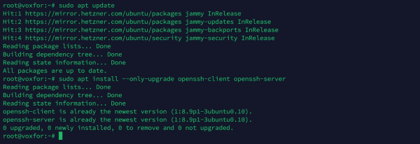 How to Check SSH Version in Linux A Complete Guide