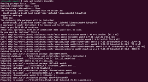 How to Install Dig on Windows with WSL