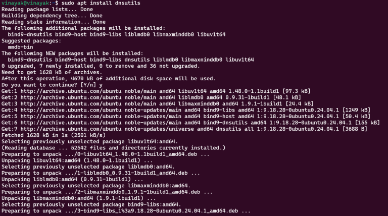 How to Install Dig on Windows with WSL