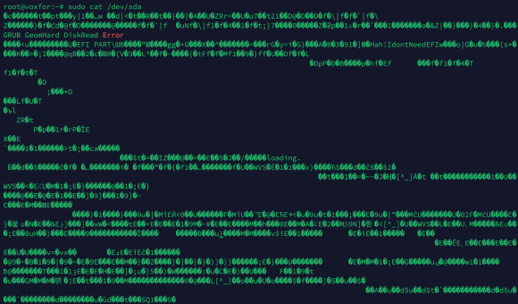 Linux Dev Directory Explained: Manage Device Files Effectively